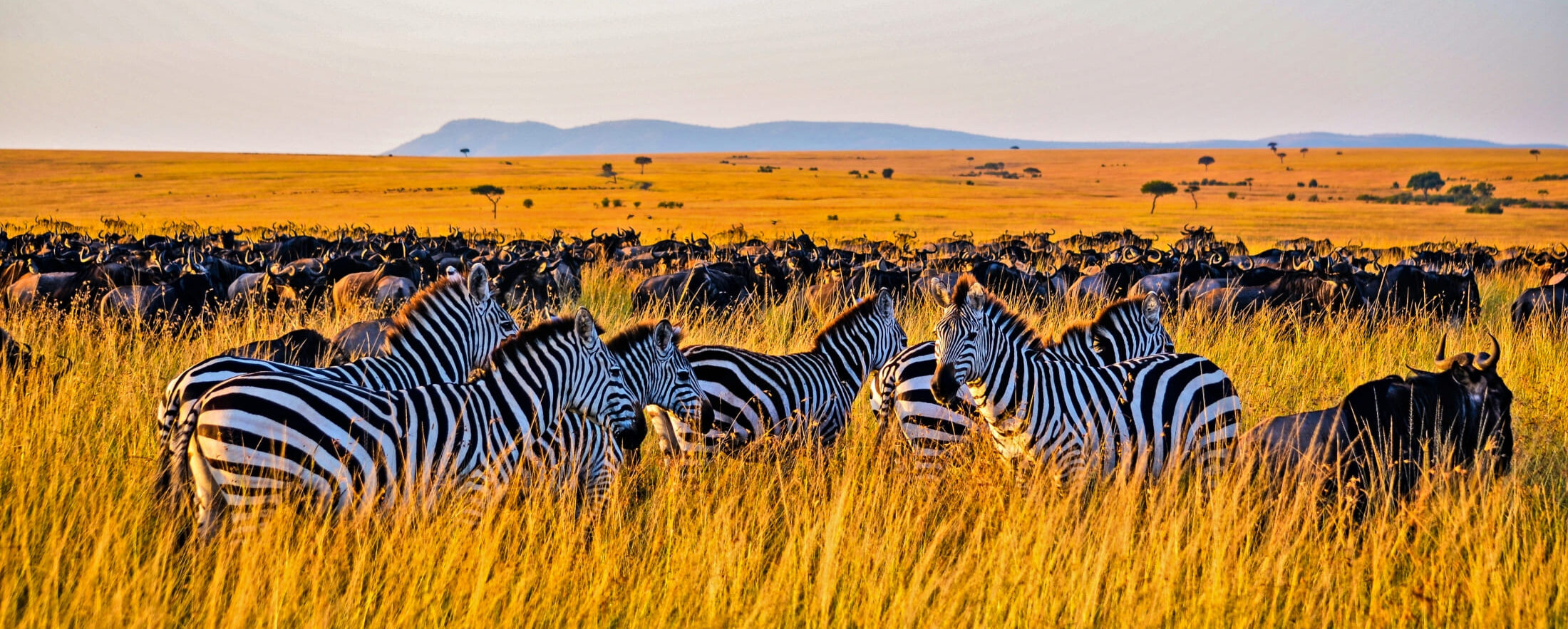 Discover Kenya: 11 Must-Visit Destinations - Moja Tu